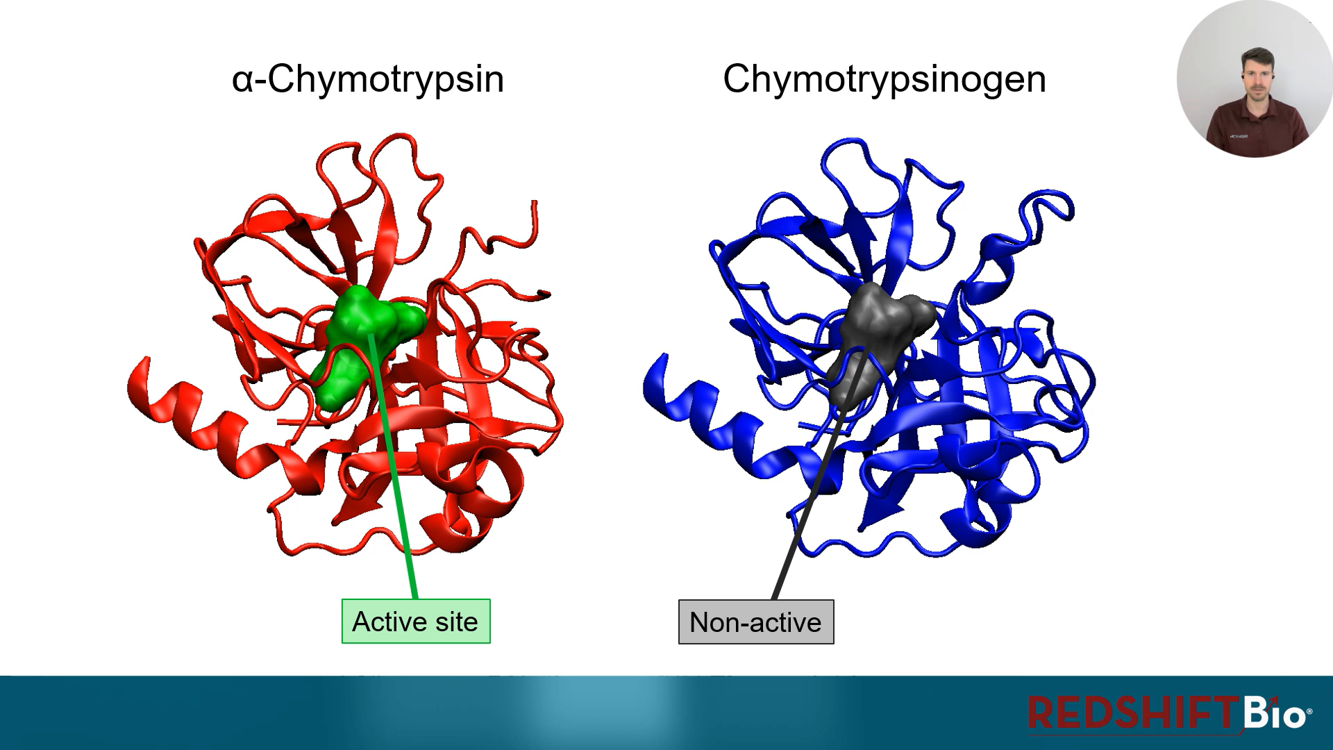 Video Method To Assess Difference In Protein Activity Between